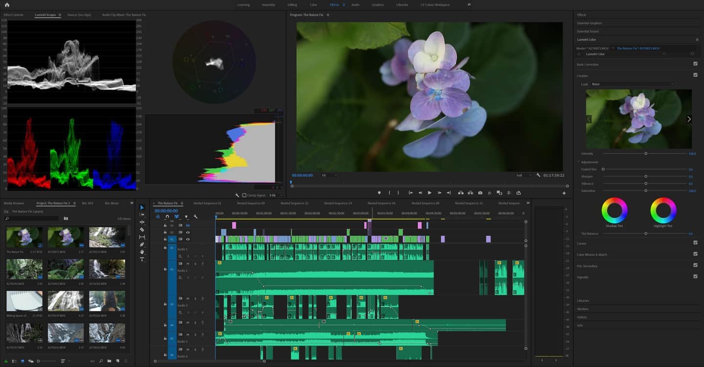 Post Production – Cymatic Visuals