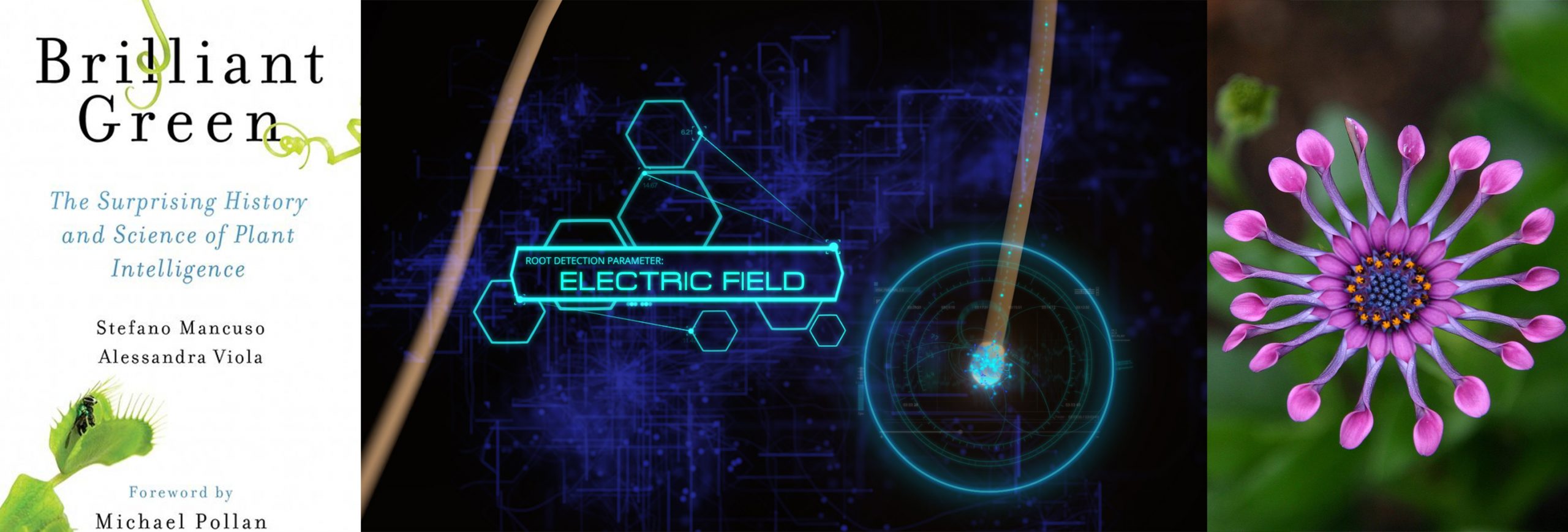 Book Reviews – Cymatic Visuals